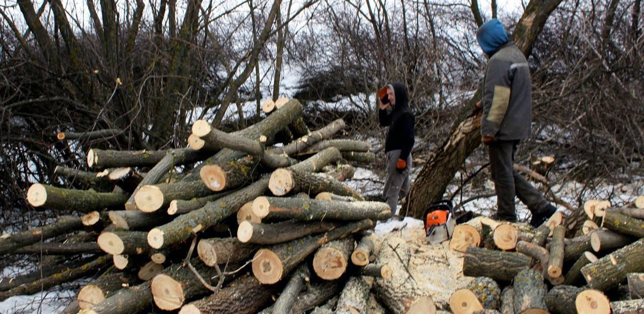In der Region Ternopil wurde ein Försterassistent wegen illegalen ...